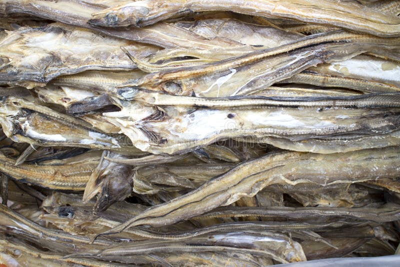 Torkad fisk fotografering för bildbyråer. Bild av marknad - 71391755