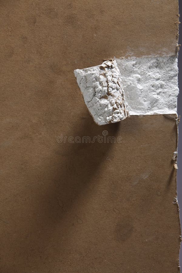 Paper tear to half stock photo. Image of plan, empty - 11398738
