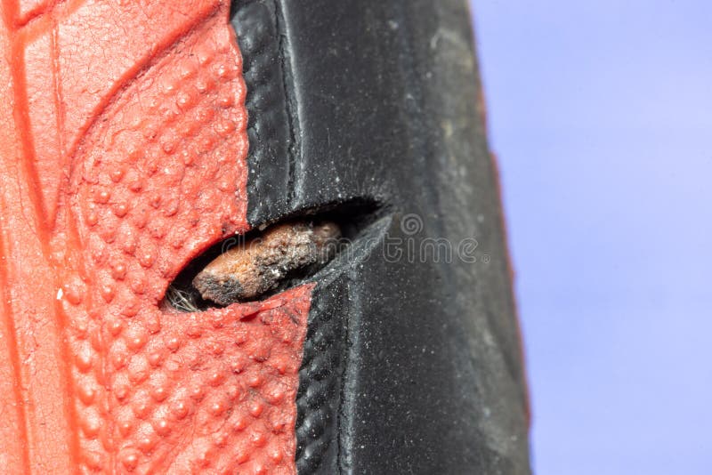 Torn Bicycle Tire. Bicycle Repair in the Workshop. an Old Bicycle ...