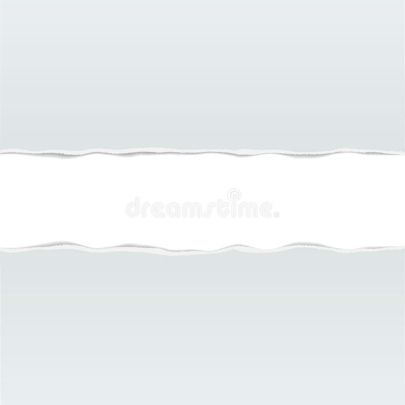 Torn Blank Piece or Page of Paper Stock Vector - Illustration of page ...