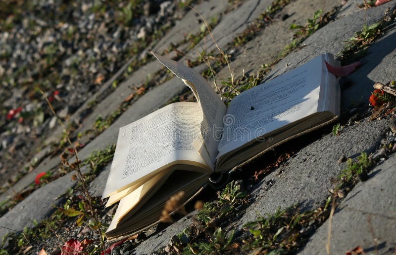 Torn book stock image. Image of autumn, tear, torn, ragged - 1545721