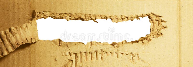 Torn, Damaged Cardboard or Cardboard Boxes, Leaving Claw Marks. Stock ...