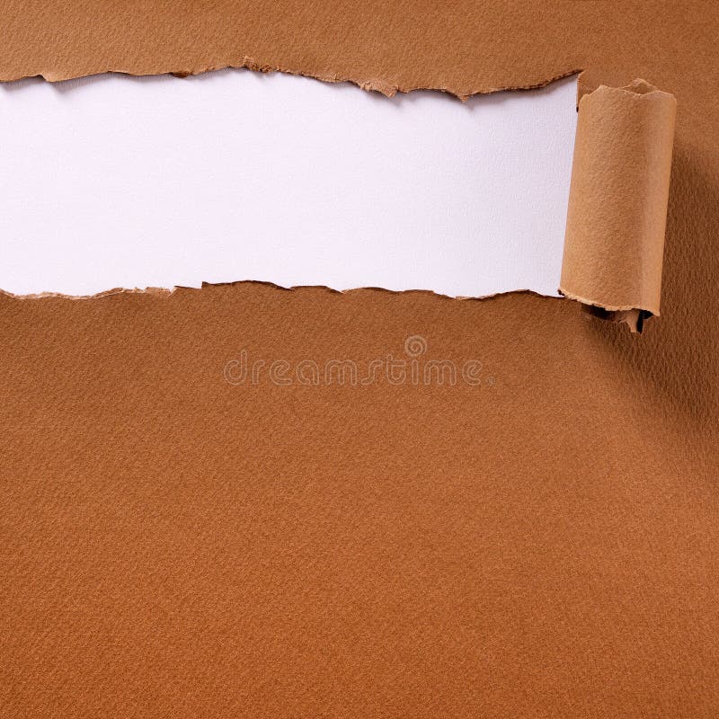 Torn Brown Paper Long Rolled Edge Header Frame White Background Stock ...