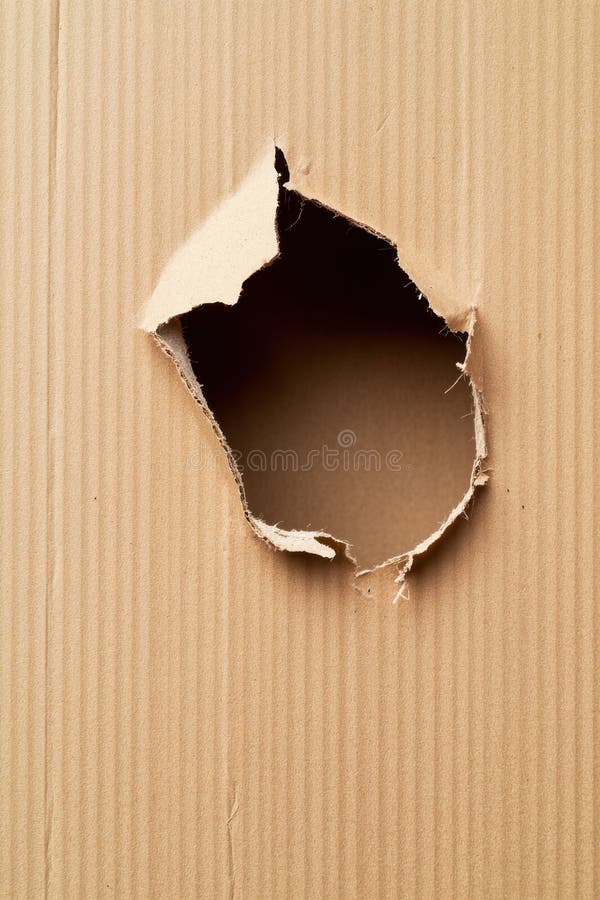 Cardboard Exposes Stock Illustrations – 4 Cardboard Exposes Stock ...