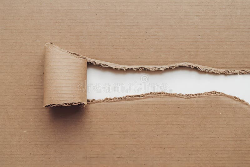 Torn Cardboard Revealing White Layer, Curled Edge, and Textured Ribbed ...