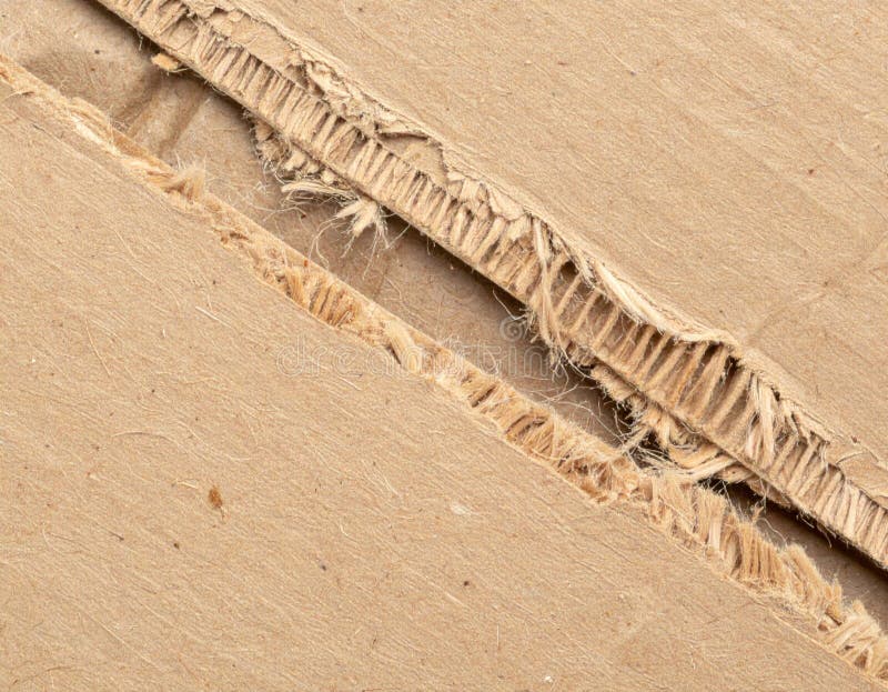 Torn Cardboard Texture: Close-up of Ripped Brown Kraft Paper Stock ...