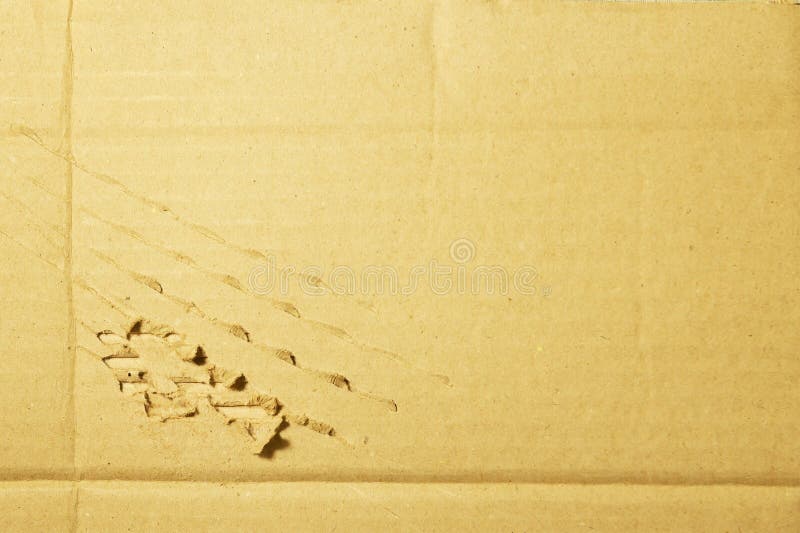 Torn, Damaged Cardboard or Cardboard Boxes, Leaving Claw Marks. Stock ...