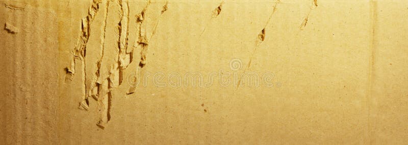 Torn, Damaged Cardboard or Cardboard Boxes, Leaving Claw Marks. Stock ...