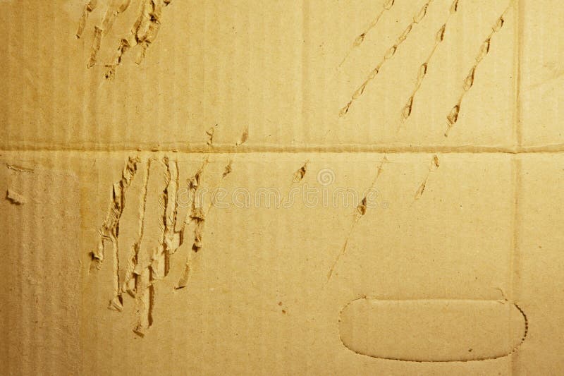 Torn, Damaged Cardboard or Cardboard Boxes, Leaving Claw Marks. Stock ...