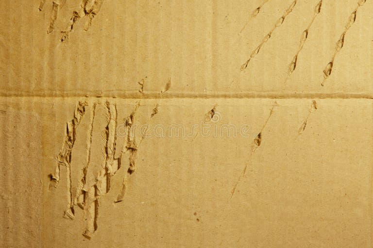 Torn, Damaged Cardboard or Cardboard Boxes, Leaving Claw Marks. Stock ...