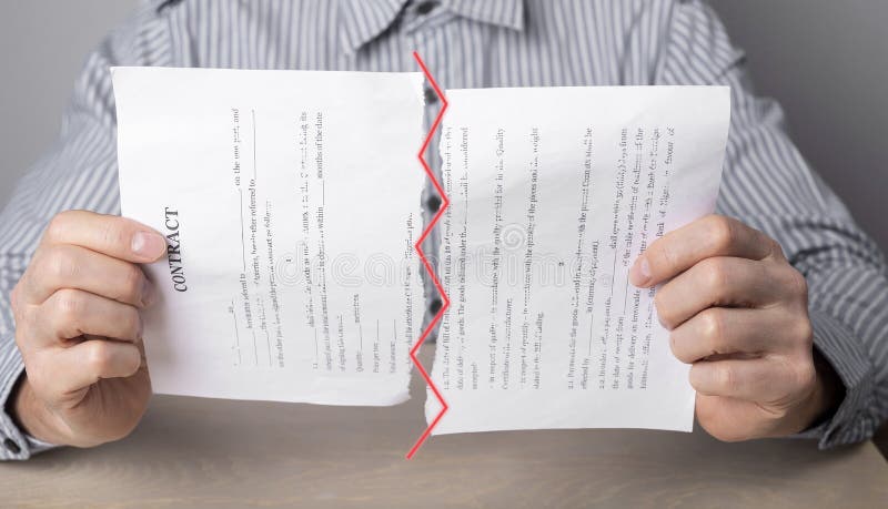 Torn Document in Man Hands. Contract Cancellation or Dismissal Concept ...