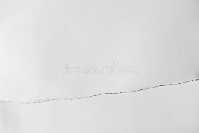 Torn Edge of Paper, Horizontal. Blank of Paper Sheet Stock Image ...