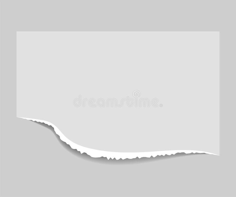 Torn Edge Paper Vector Illustration. Piece Ripped Blank with Shadow ...