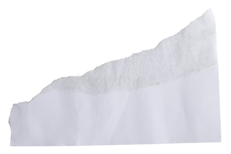 Torn Edge of White Paper Isolated on White Stock Photo - Image of sheet ...