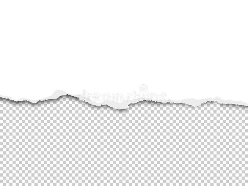 Torn a Half Sheet of Green Paper from the Bottom on White Background ...