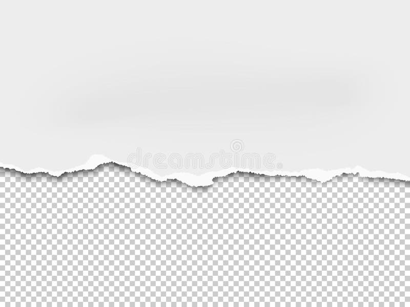 Torn a Half Sheet of White Paper from the Bottom Placed on Transparent ...