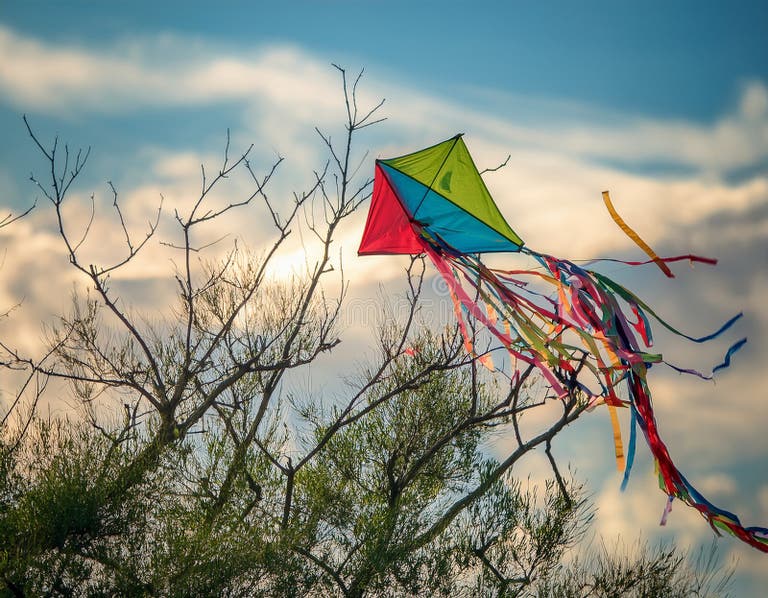 A Torn Kite Tangled in Tree Branches with Visible Tearing and Twists ...