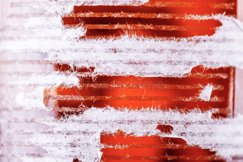 Torn Label from a Beer Bottle Close Up Stock Image - Image of bottle ...