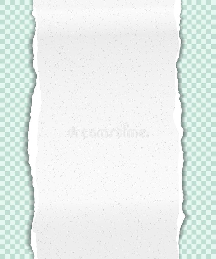Torn Note, Notebook, Grainy Vertical Paper Strip Stuck on Light Green ...