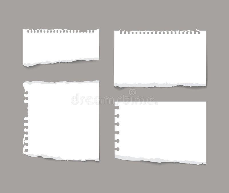 Torn Notebook Paper Pieces Isolated on Grey Stock Vector - Illustration ... Torn Notebook Paper Pieces Isolated on Grey Stock Vector - Illustration ...
