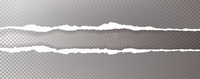 Ripped transparent stock vector. Illustration of page - 138096487