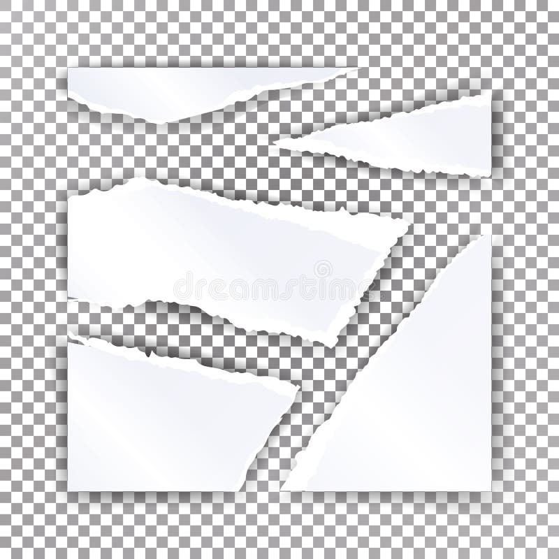 Torn Paper Blank Vector. Realistic Scraps of Papers with Shadow ...