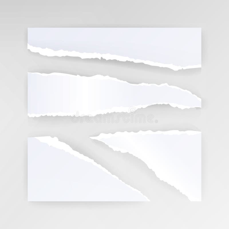 Torn Paper Blank Vector. Set of Different Shapes Blank Paper Scraps ...
