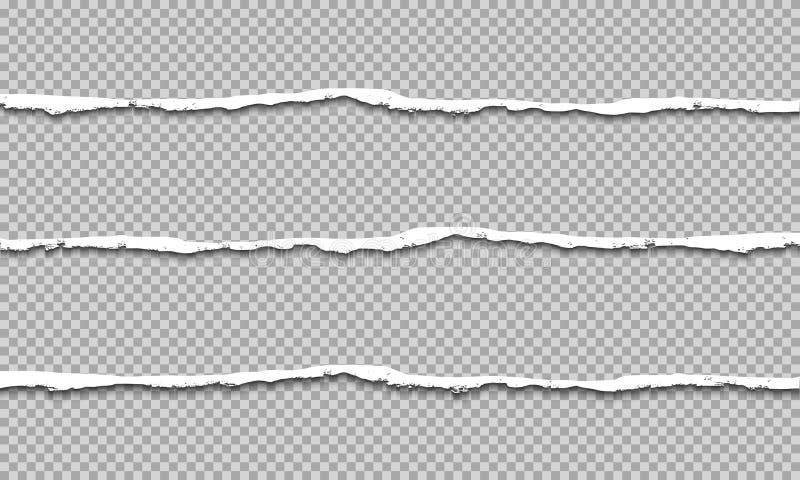 Torn Paper Collection on Transparent Background – Vector Stock ... Torn Paper Collection on Transparent Background – Vector Stock ...