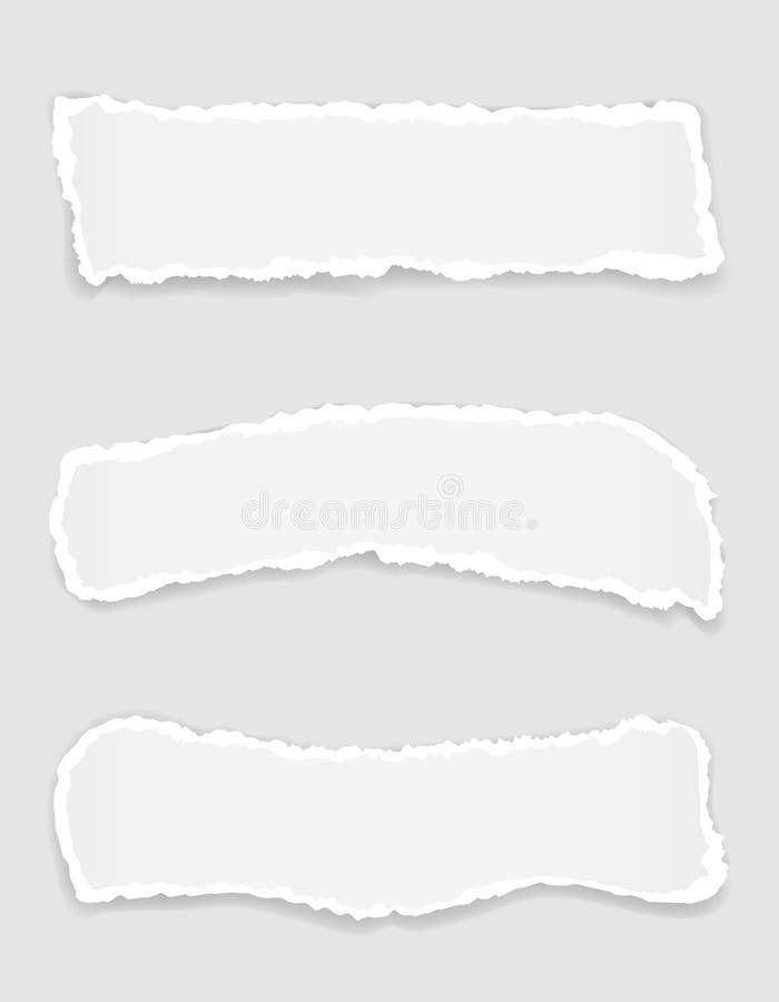 Torn Paper Edge for Design with Transparent Space Template Vector ...