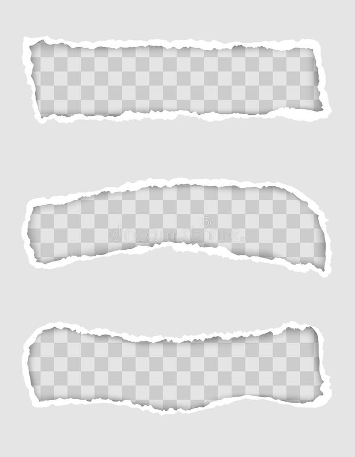 Torn Paper Edge for Design with Transparent Space Template Vector ...