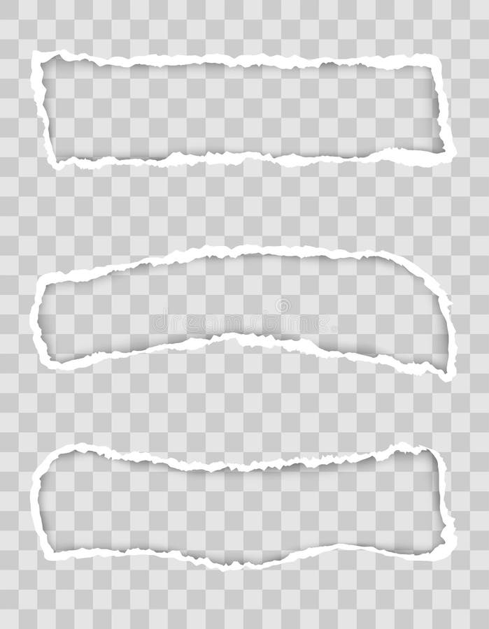 Torn Paper Edge for Design with Transparent Space Template Vector ...