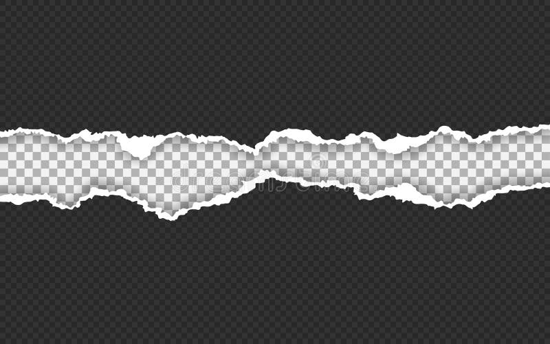 Torn Paper Edge. Ripped Squared Paper Strips Stock Vector ...