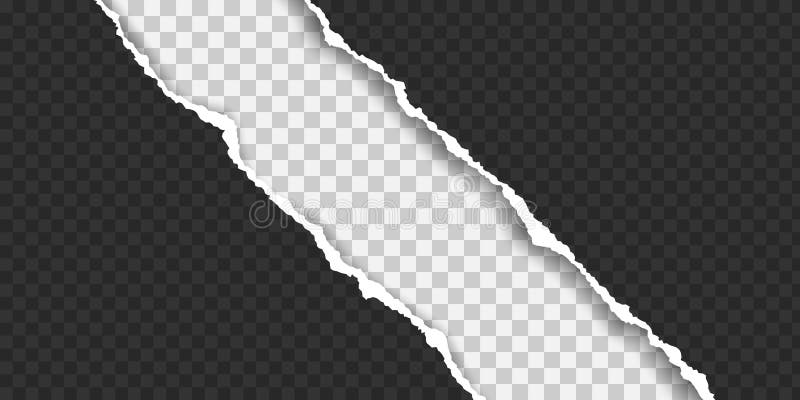 Torn Paper Edge. Ripped Squared Paper Strips Stock Vector ...