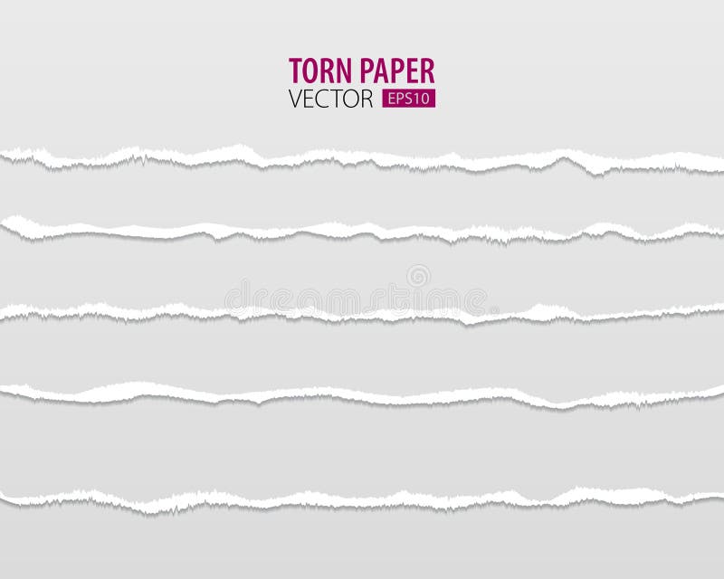 Torn Paper Edges. Vector Torn Paper with Ripped Edges on a Transparent ...