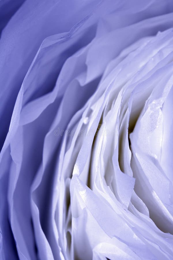 Torn Paper Layers Delicate Abstract Gentle Petal Texture Background ...