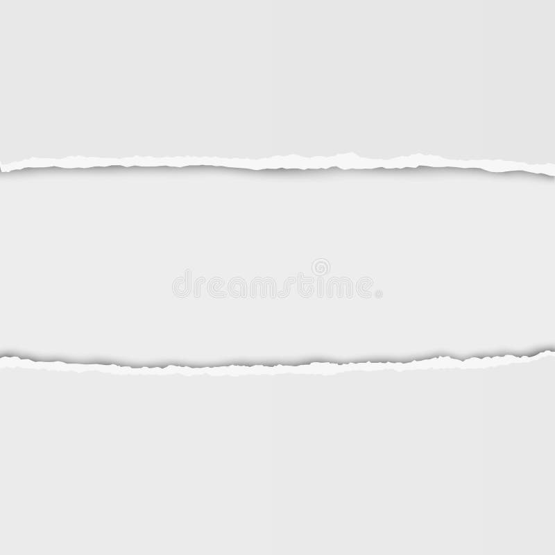 Torn Paper Scrap of Oval Shape Isolated on Transparent Background ...