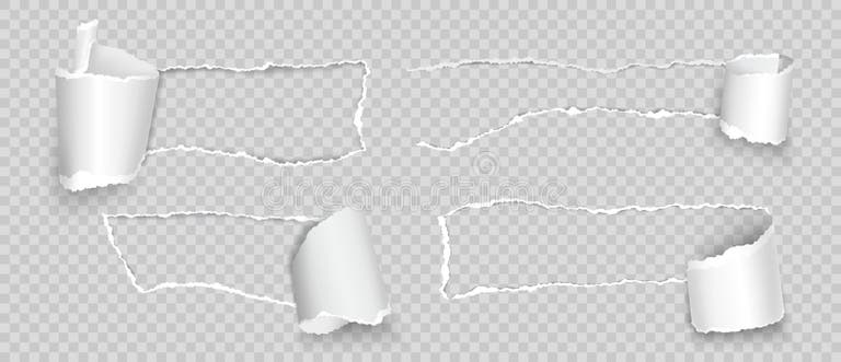 Torn Paper with Rolled Edge. Realistic Ripped and Folded Strips, Pieces ...