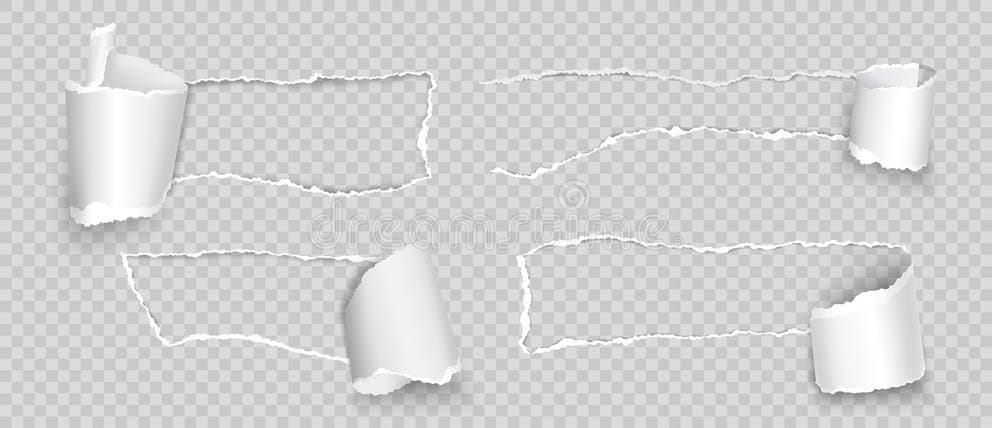 Torn Paper with Rolled Edge. Realistic Ripped and Folded Strips, Pieces ...