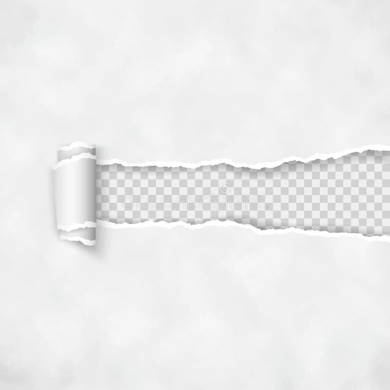 Torn Paper with Rolled Edge. Rough Broken Border of Paper Stripe Stock ...