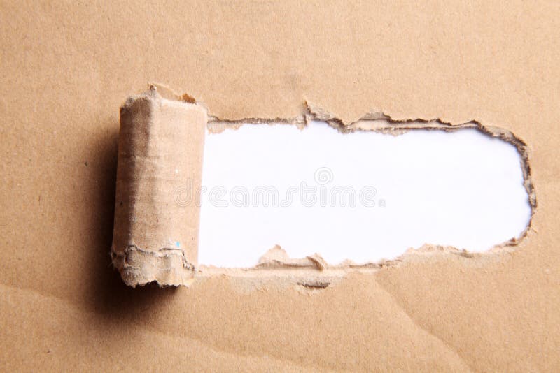 Torn paper form curve stock photo. Image of ripped, sample - 11398660