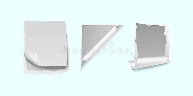 Torn Paper Strips Set Vector Illustration. Ripped Paper Strips ...