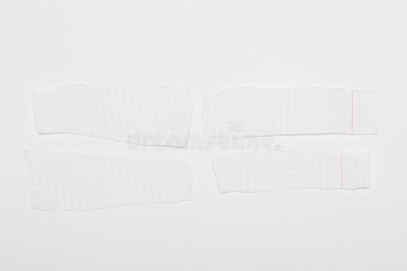 Torn Pieces of Paper in a Check on a White Background. Stock Image ...