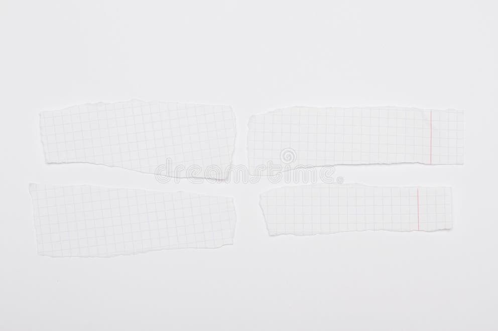 Torn Pieces of Paper in a Check on a White Background. Stock Image ...