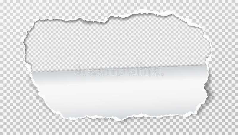 Torn Realistic Paper Hole on Squared Transparent Background. Vector ...