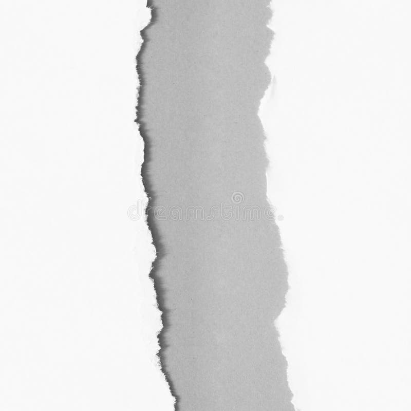 2,391 Rip Stick Stock Photos - Free & Royalty-Free Stock Photos from ...