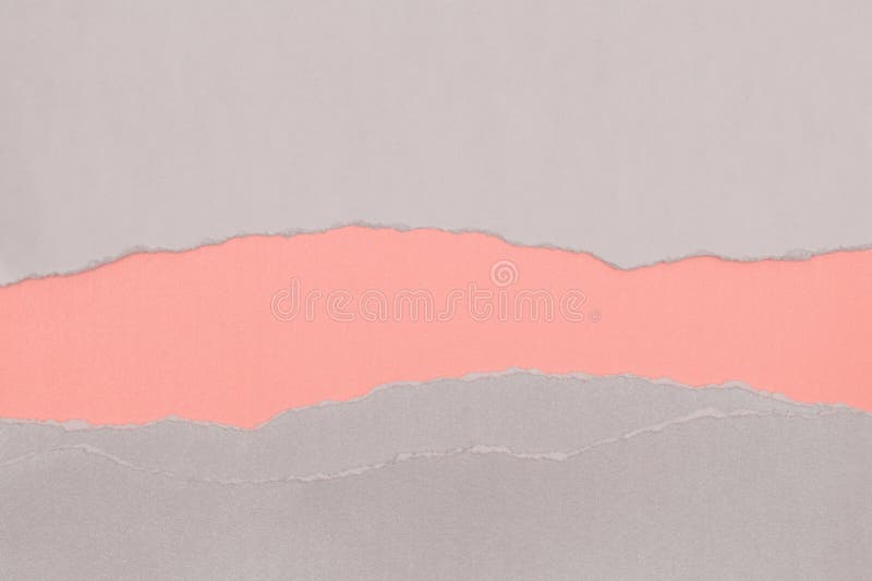 Torn, Ripped Paper Pieces Wave Line Frame. Beige, Pink, Gray Copy Space ...