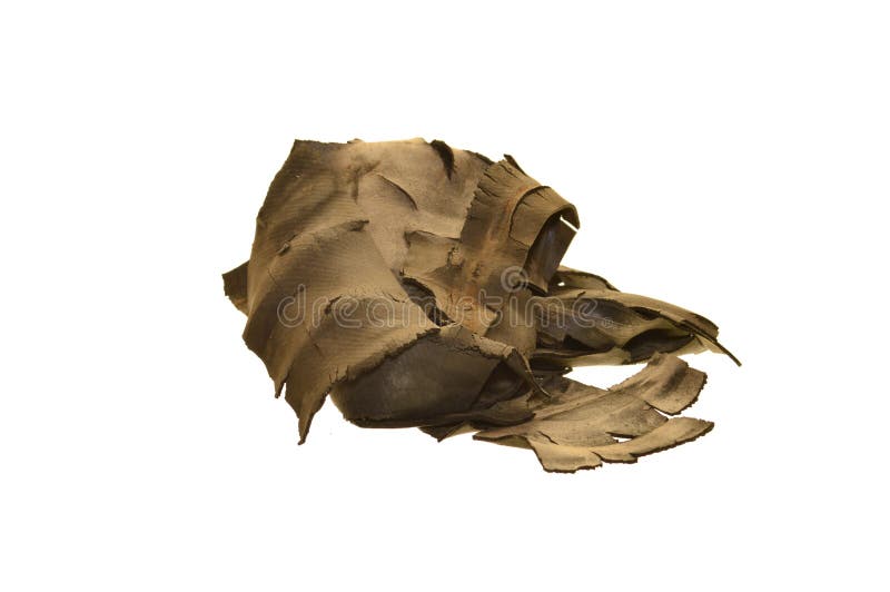 Torn Rubber Isolated on White Background Stock Photo - Image of poverty ...