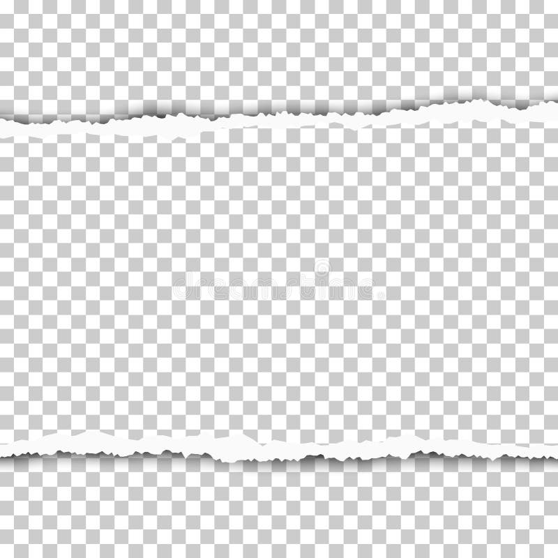 Torn, Snatched Piece of Transparent Paper. Vector Template Paper Design ...