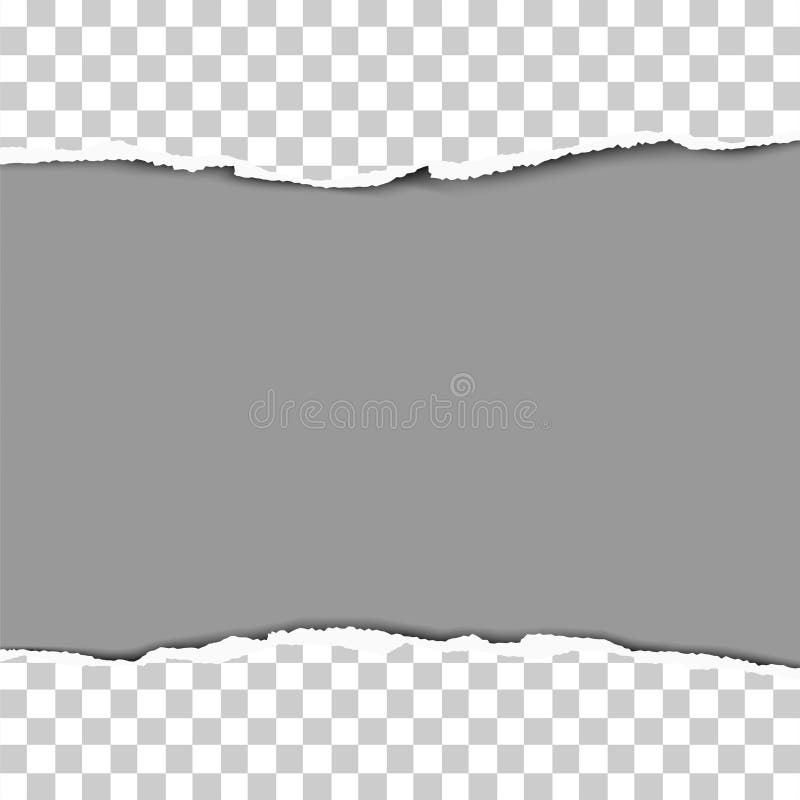 Torn Strip of Golden Sand. Template for Design. Copy Space for Ad ...