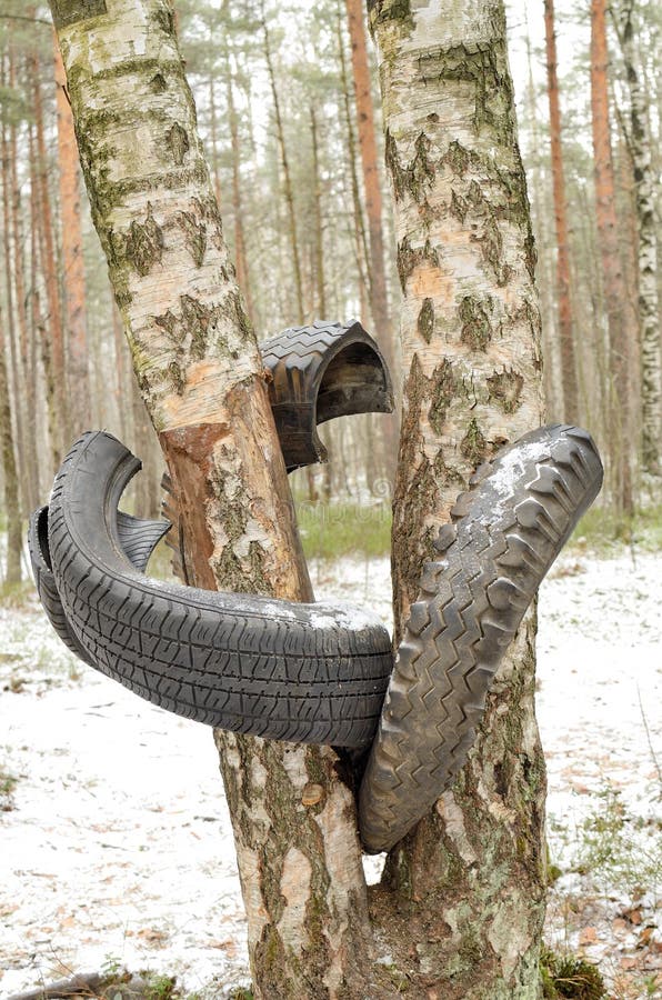 A Torn Tire Hanging from a Tree Stock Photo - Image of breakdown ...